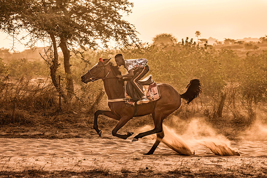 Thomas Morel-Fort _ Fallou Diop, l'espoir imprévu de l'hippodrome ...